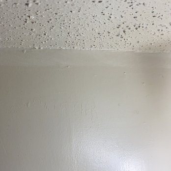 APARTMENTS ADDISON CHAPEL - Updated November 2025 - 14 Photos - 1525 ...