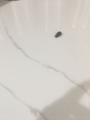 FRIENDS TEK - Updated December 2025 - 135 Reviews - 1750 Beaver Ruin Rd ...