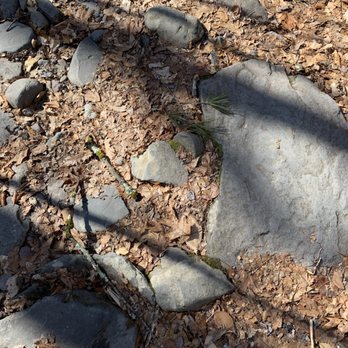 NEVERSINK RIVER UNIQUE AREA - Updated September 2025 - 28 Photos - 754 ...