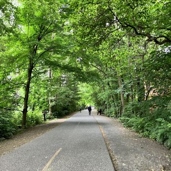 CAPITAL CRESCENT TRAIL - Updated December 2025 - 71 Photos & 71 Reviews ...