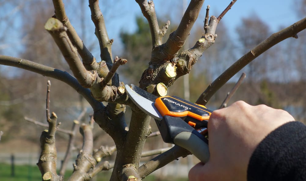 MARIA SANDGREN TRÄDGÅRDSMÄSTARE - Updated August 2024 - Tallkrogsvägen ...