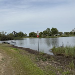 MODESTO RESERVOIR REGIONAL PARK - Updated December 2025 - 95 Photos ...