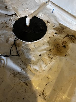 VALUE DRY WATERPROOFING - Updated April 2024 - 59 Photos & 52 Reviews ...