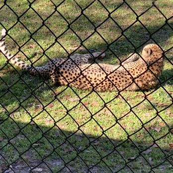 WHITE OAK - Updated September 2025 - 76 Photos & 11 Reviews - 581705 ...