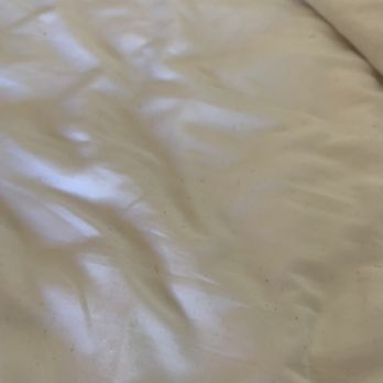 RODEWAY INN MAGIC MOUNTAIN AREA - 311 Photos & 210 Reviews - 31558 ...