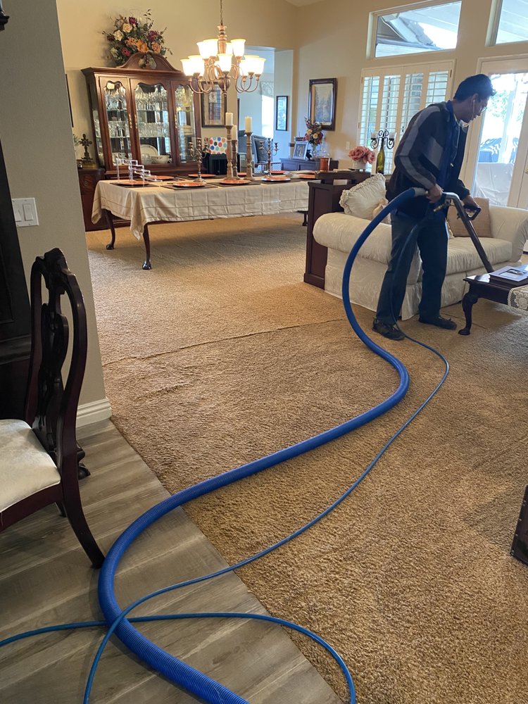 EXTREME CARPET CARE - Updated April 2024 - 114 Photos & 160 Reviews ...