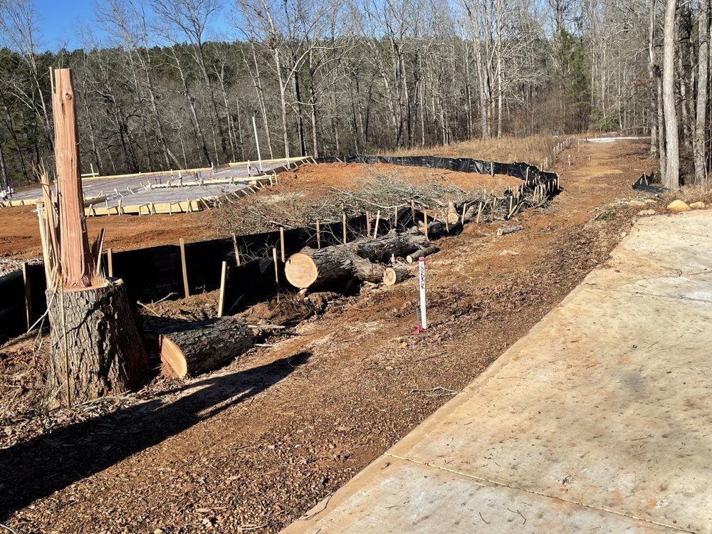 BAM’S TREE SERVICE - Updated July 2024 - Request a Quote - 25 Photos ...