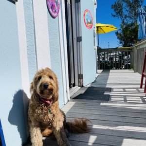 JETTY JACKS - 28 Photos & 17 Reviews - 2000 Tarpon Center Dr, Venice ...