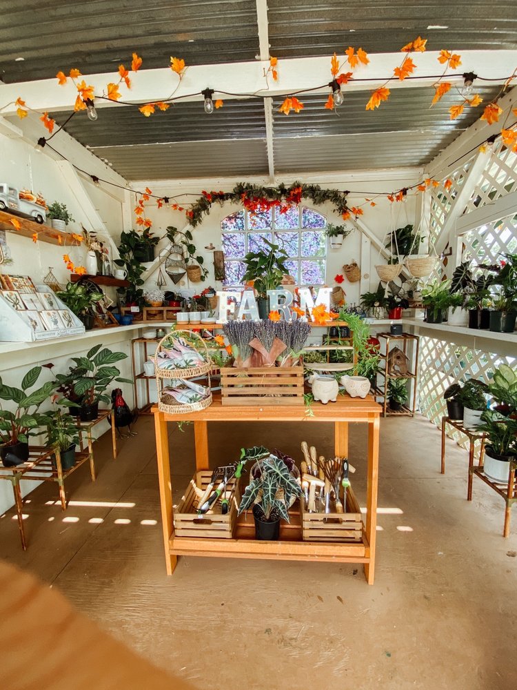 KULA COUNTRY FARMS - Updated December 2025 - 1065 Photos & 149 Reviews ...