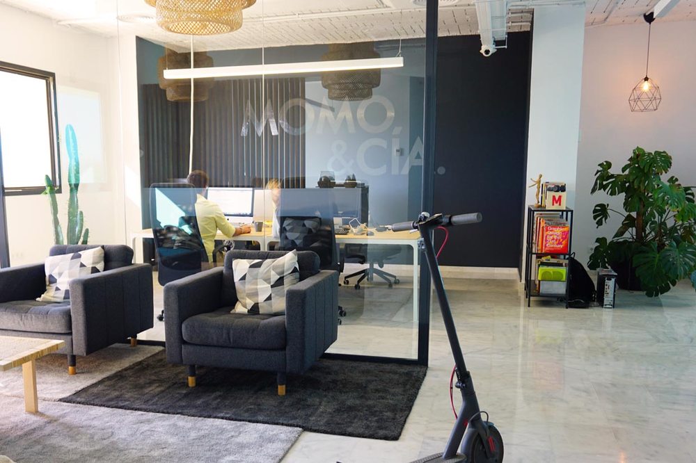 MOMO & CÍA - Updated December 2024 - Request Consultation - 22 Photos ...