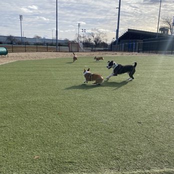 MICHAEL J TULLY PARK - Updated January 2026 - 43 Photos & 30 Verified ...