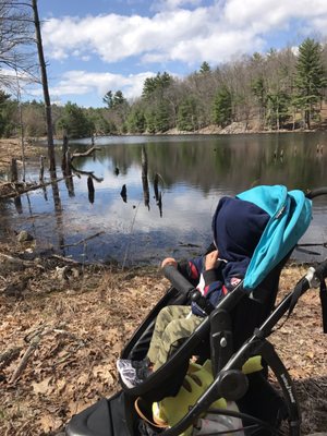 WINDHAM RAIL TRAIL - Updated October 2025 - 31 Photos & 19 Reviews - 6 ...