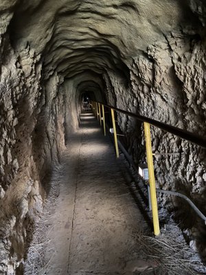 DIAMOND HEAD STATE MONUMENT - Updated May 2024 - 7666 Photos & 2135 ...