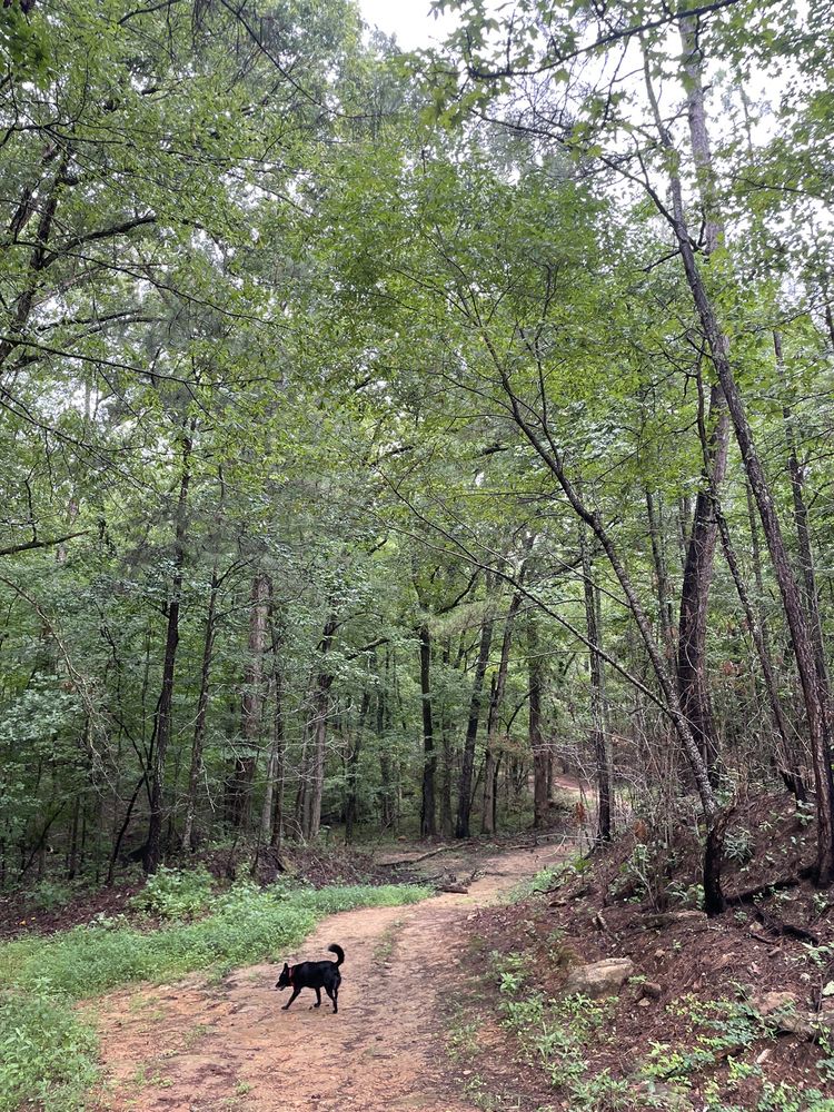 CHARLIE ELLIOTT WILDLIFE CENTER - Updated February 2025 - 100 Photos ...