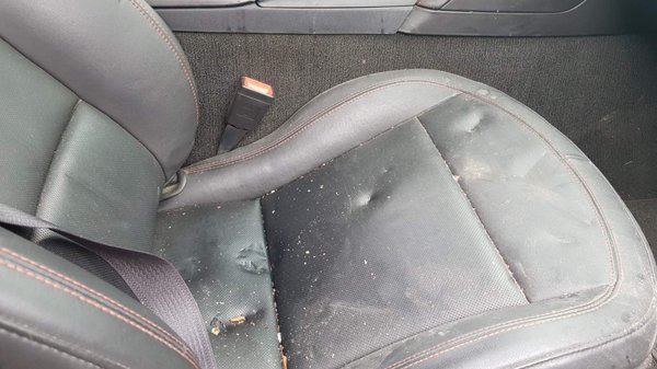 COPART - ELGIN - Updated May 2026 - 18 Photos & 16 Reviews - 1475 Bluff ...