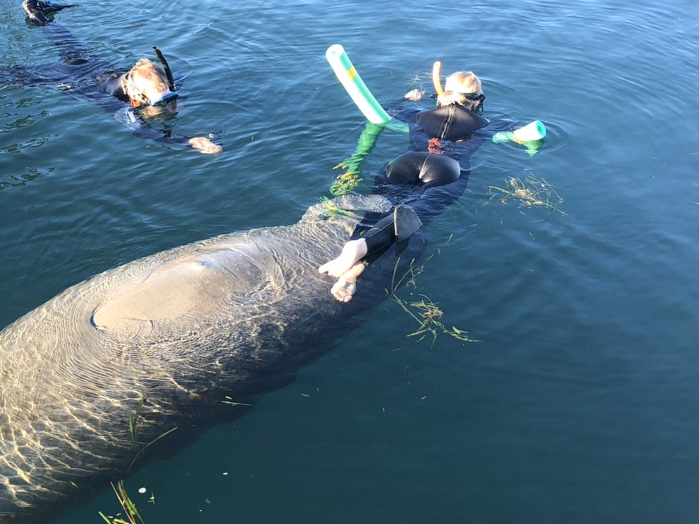 MANATEE EXPEDITIONS - Updated July 2025 - 938 N Suncoast Blvd, Crystal ...