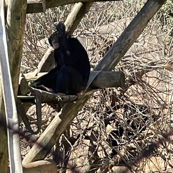 LITTLE ROCK ZOO - Updated December 2025 - 185 Photos & 73 Reviews - 1 ...