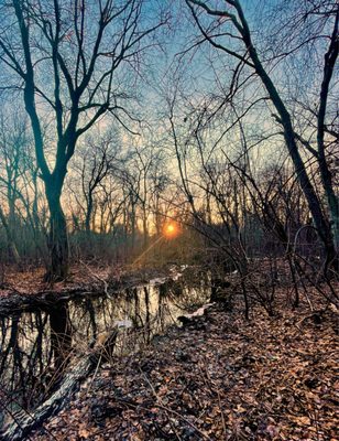 COLD SPRING PARK - Updated June 2025 - 44 Photos & 23 Reviews ...