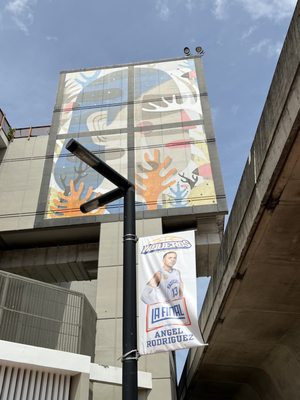 COLISEO RUBEN RODRIGUEZ - Updated May 2026 - 14 Photos - Calle Coliseo ...