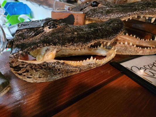 SWAMP MONSTER RESTAURANT - Updated February 2025 - 48 Photos & 26 ...