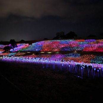 SENSORIO - 2254 Photos & 481 Reviews - 4380 Hwy 46 E, Paso Robles ...