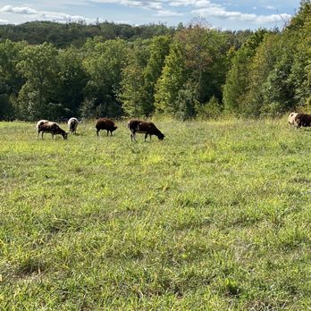 NORBROOK FARM BREWERY - 109 Photos & 31 Reviews - 204 Stillman Hill Rd ...