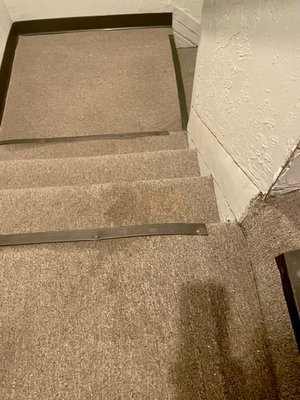 SONDER SOLARENA - Updated September 2024 - 30 Photos & 19 Reviews ...