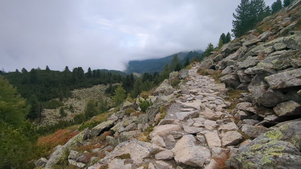 ZIRBENWEG - Patscherkofel 1, Patsch, Tirol, Austria - Hiking - Yelp