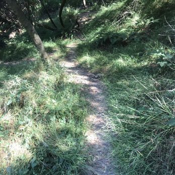 BERKELEY FIRE TRAILS - Updated September 2025 - 459 Photos & 109 ...