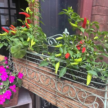 THE MOUZON HOUSE - Updated July 2025 - 232 Photos & 266 Reviews - 1 ...