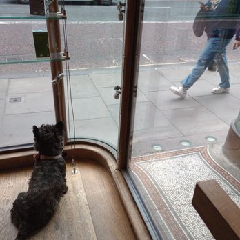 LAUNDRY KAFE - Updated September 2025 - 14 Photos & 52 Reviews - 55 ...