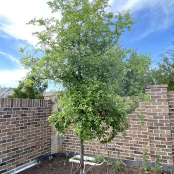 FANNIN TREE FARM - Updated June 2024 - 42 Photos & 50 Reviews - 15700 ...