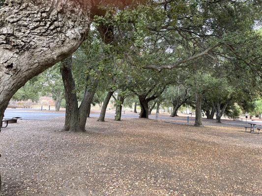 POTRERO COUNTY PARK CAMPGROUND - Updated October 2025 - 76 Photos & 30 ...