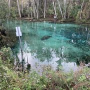 THREE SISTERS SPRINGS - 193 Photos & 53 Reviews - Tours - 123 NW US 19 ...
