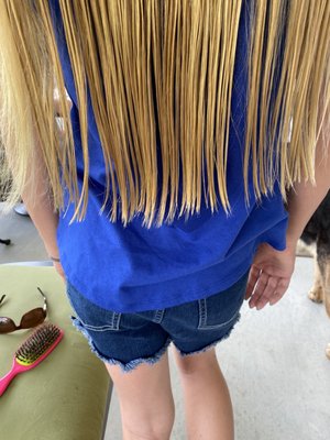 GREAT CLIPS - Updated September 2025 - 13 Reviews - 2575 SW 42nd St ...