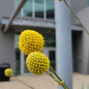 Z J LOUSSAC PUBLIC LIBRARY - Updated August 2025 - 41 Photos & 28 ...