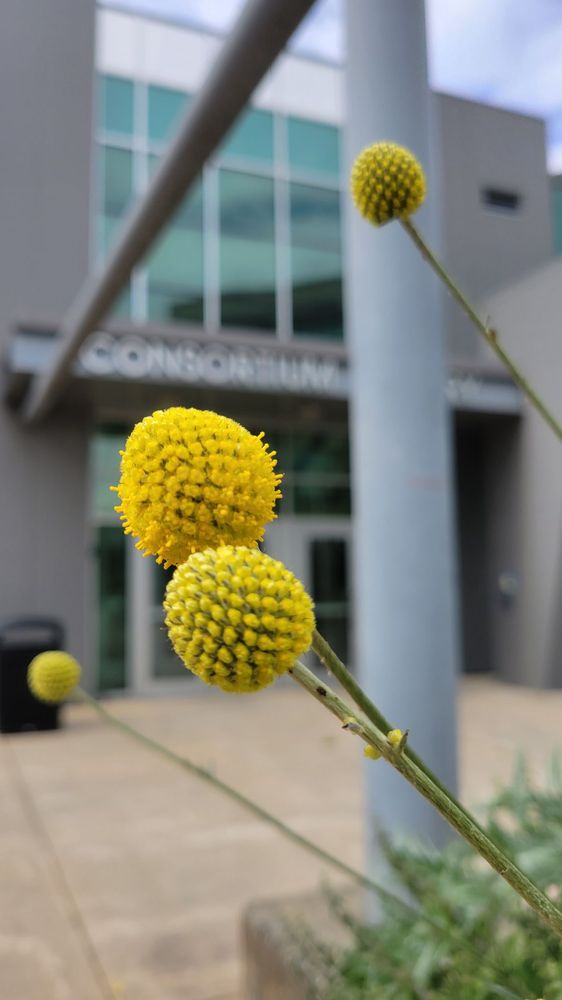 UAA/APU CONSORTIUM LIBRARY - Updated May 2025 - 15 Photos - 3211 ...