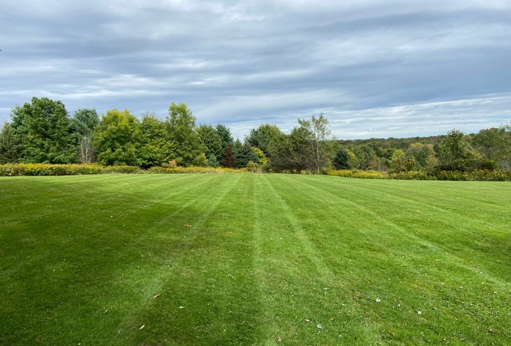 MODERN GOAT LANDSCAPING - Updated November 2024 - Request a Quote ...