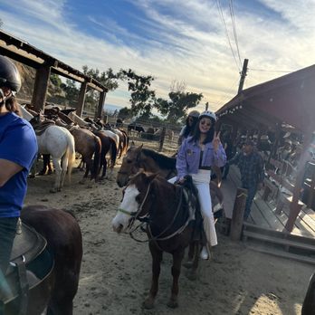 SUNSET RANCH HOLLYWOOD STABLES - Updated July 2025 - 1390 Photos & 899 ...