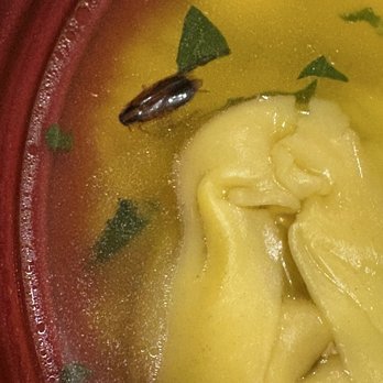 FOO LUCK - Updated December 2025 - 46 Photos & 127 Reviews - 122 ...