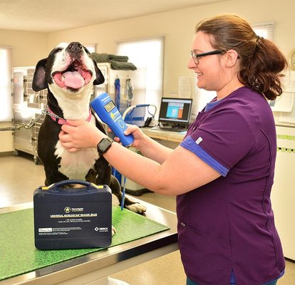 SMARTVET MOBILE VETERINARY SERVICE - Updated July 2025 - 39 Photos & 22 ...