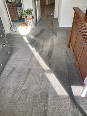 ALL IN CARPET CLEANING - Updated January 2026 - 63 Photos & 195 Reviews ...