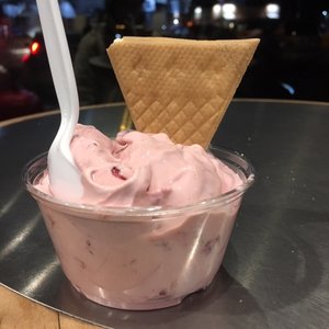 KOPP’S FROZEN CUSTARD - 368 Photos & 748 Reviews - 7631 W Layton Ave ...