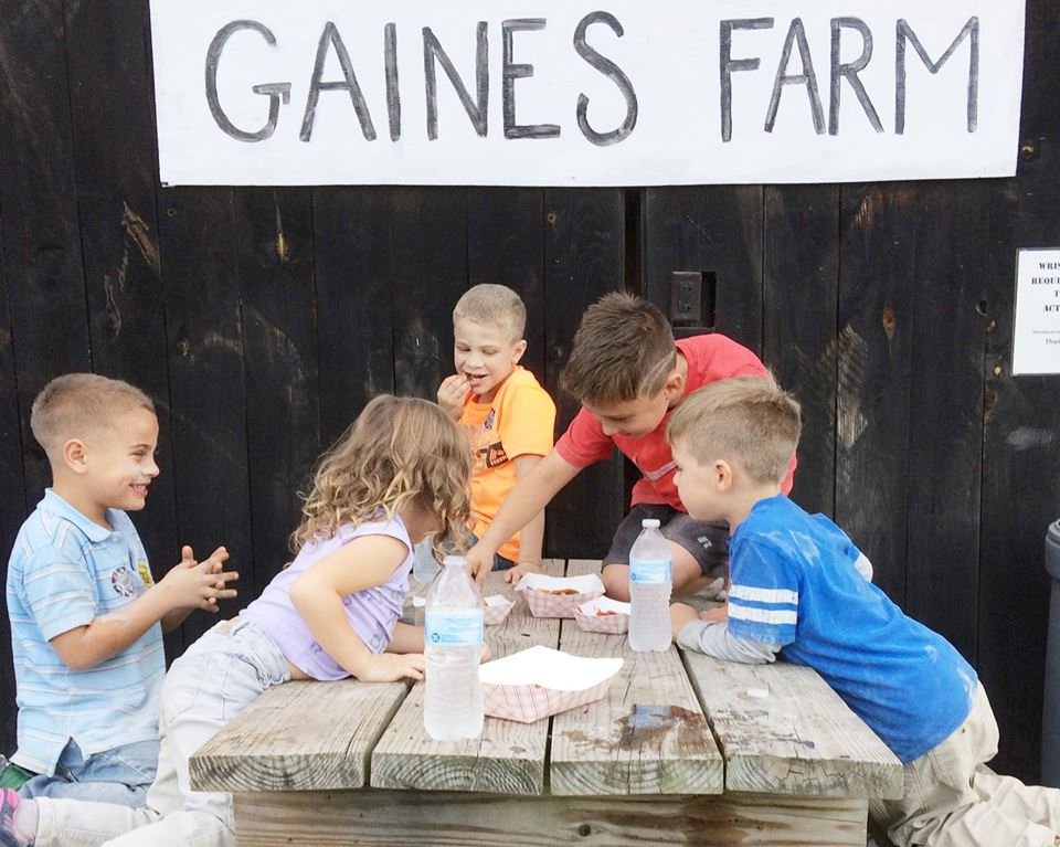 GAINES FARM & KENNEL - Updated September 2024 - 6343 Coolidge Hwy ...