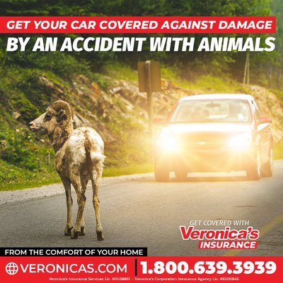 VERONICA’S INSURANCE - Updated October 2024 - 30 Photos - 201 S Wilcox ...