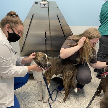 SUMMIT BRIDGE VETERINARY HOSPITAL - Updated August 2025 - 14 Photos ...