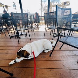 SHOTZEE’S BAR & GRILL - Updated June 2025 - 85 Photos & 88 Reviews ...