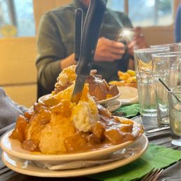 THE IRISH ROVER - Updated July 2024 - 614 Photos & 393 Reviews - 2319 ...