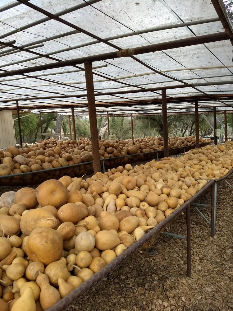 WELBURN GOURD FARM - 15 Photos & 11 Reviews - Art Supplies - 40635 De ...