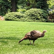 SIP CAFE - 116 Photos & 184 Reviews - 0 Post Office Sq, Boston, MA ...